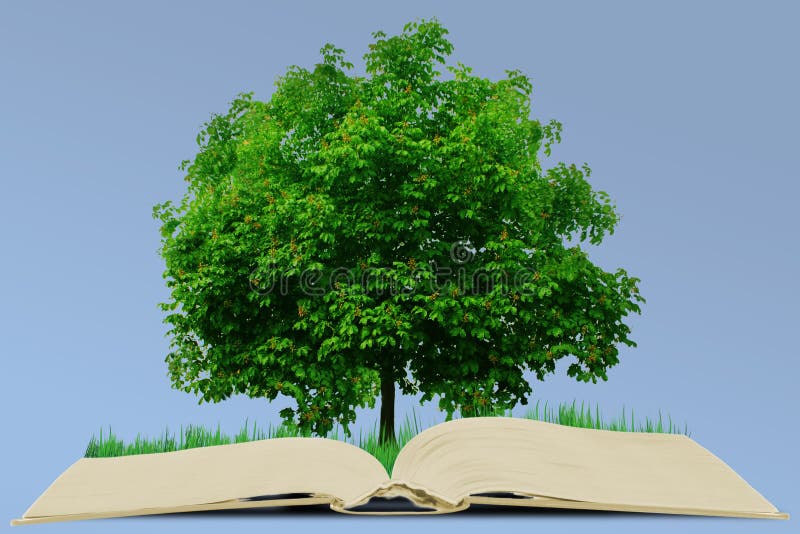 Tree on open book stock vector. Illustration of green - 34420123