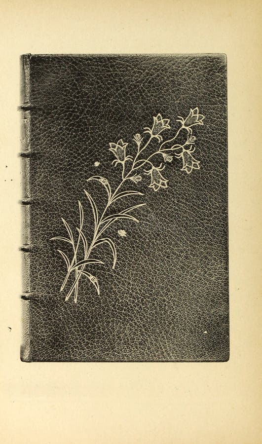 Bookbinding illustration. stock photo. Image of drawing - 151773706