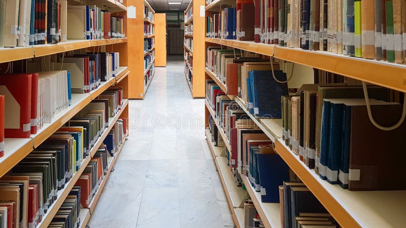 Bookcase Library Books Book Row Many Education Stock Illustration ...