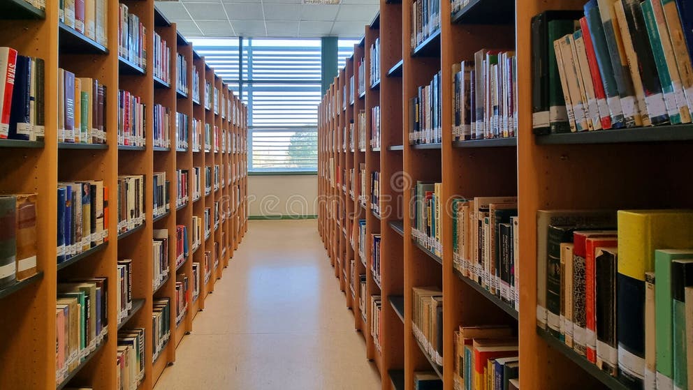 Bookcase Library Books Book Row Many Education Stock Image - Image of ...