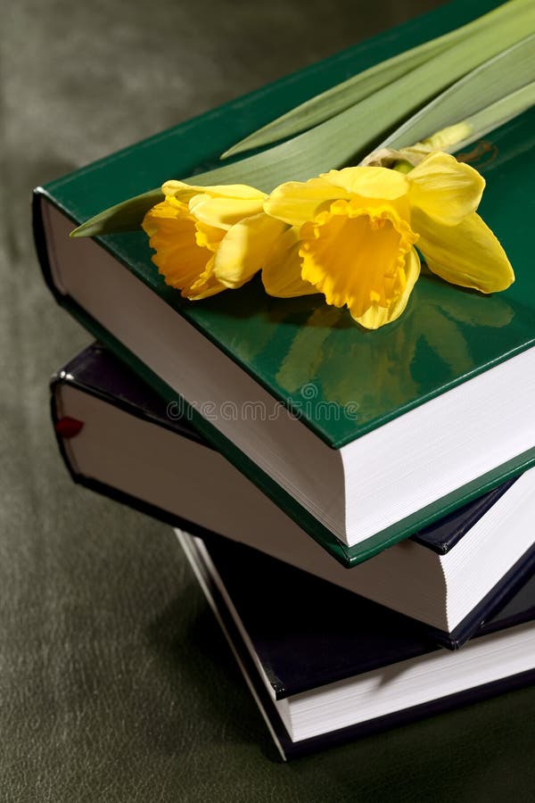 Financial books stock photo. Image of evolution, university - 110330