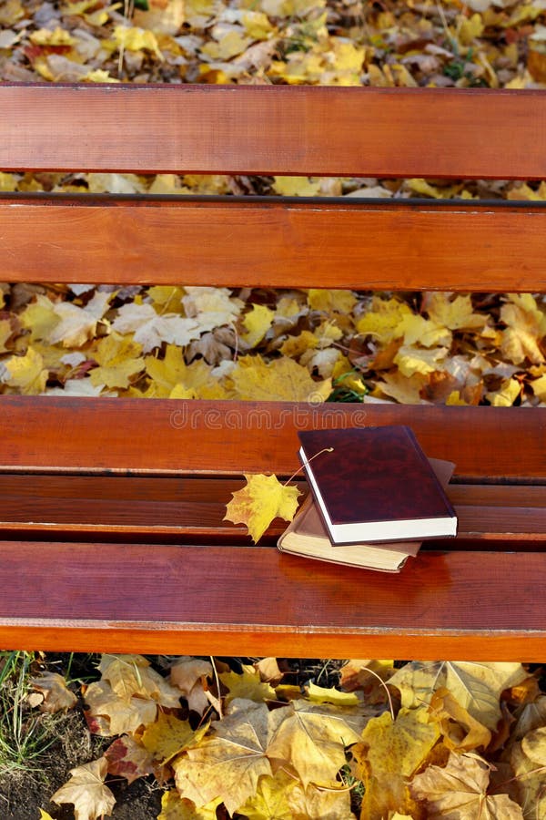 Books on a bench stock image. Image of leisure, autumn - 145827039