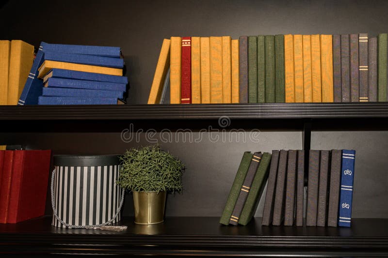 Books of Different Colors on a Bookshelf Stock Photo - Image of ...