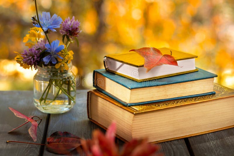 Books in the Fall. Reading Day Stock Photo - Image of sunlight ...