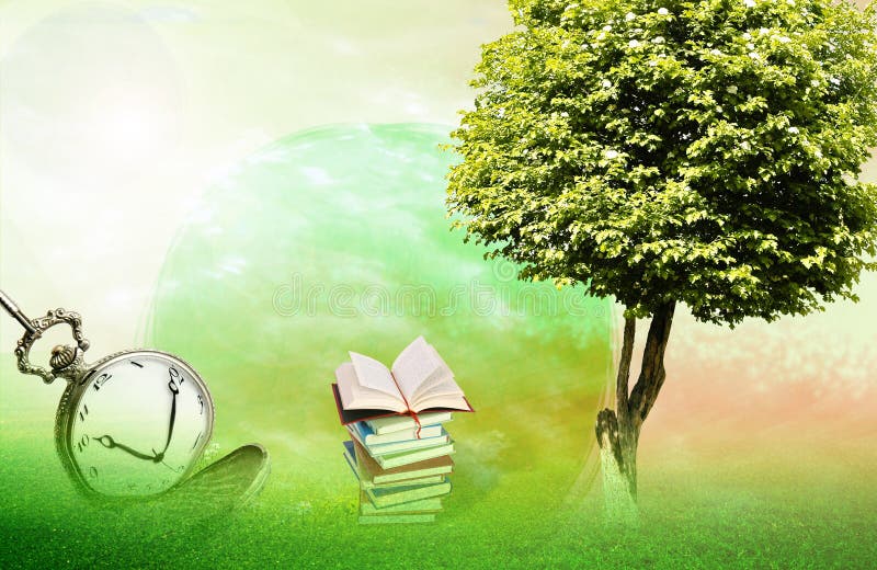 Books in the field stock illustration. Illustration of park - 13206453