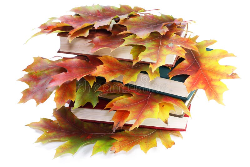 Books with Golden Autumn Leaves Stock Image - Image of leaf, symbol ...