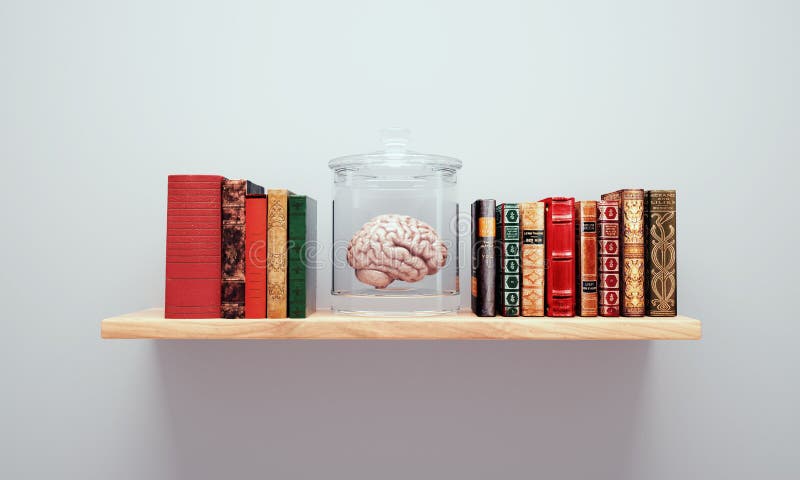 Human Brain with a Library Inside and Books Stock Illustration ...