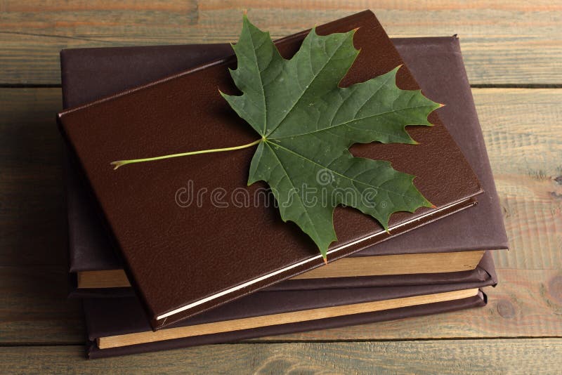 Books with leaves stock photo. Image of paper, wooden - 59866314