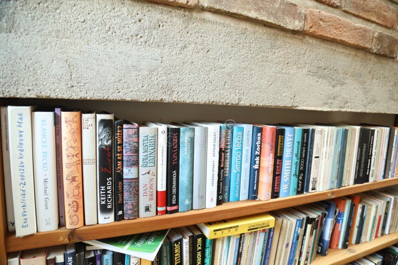 Books in the Personal Library Editorial Stock Photo - Image of horror ...