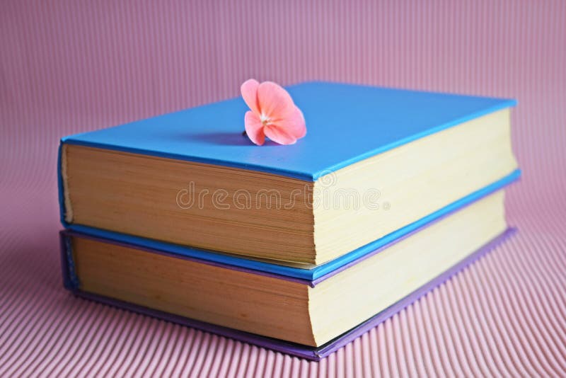 Books and pink flower. stock photo. Image of background - 143881970