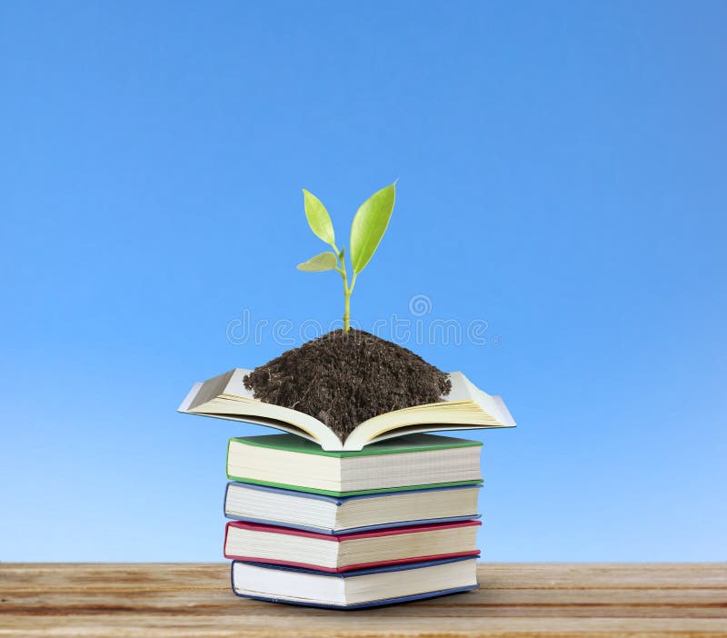 Books with plant stock illustration. Illustration of business - 32433533