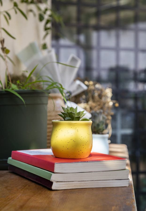 Books and Plants on the Table Stock Photo - Image of black, frame ...