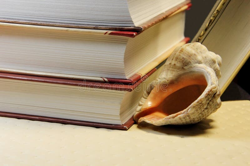 Books and sea shell stock image. Image of stack, life - 77320301