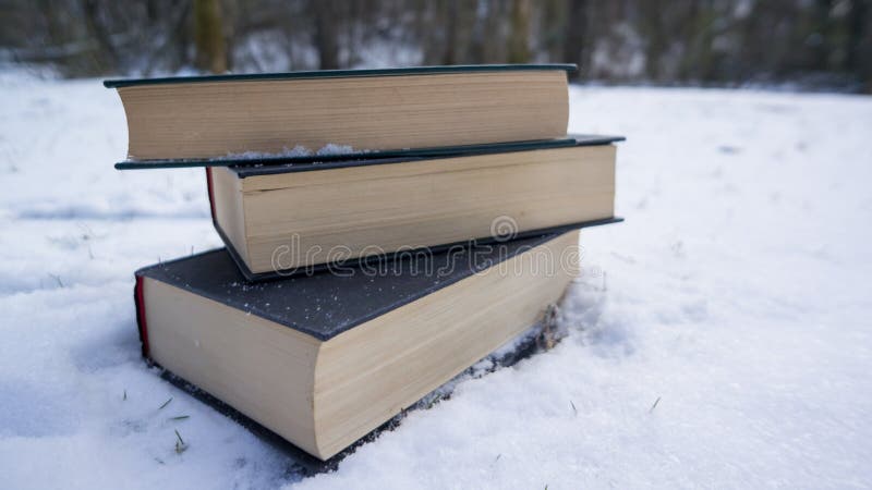 Books in snow stock photo. Image of page, magic, open - 109325162