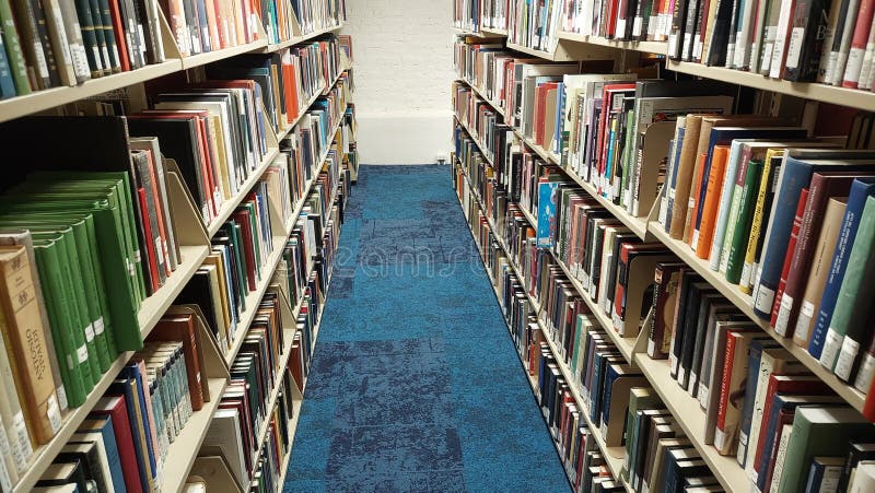 Bookshelves Filled with Books in a Modern Library Stock Photo - Image ...