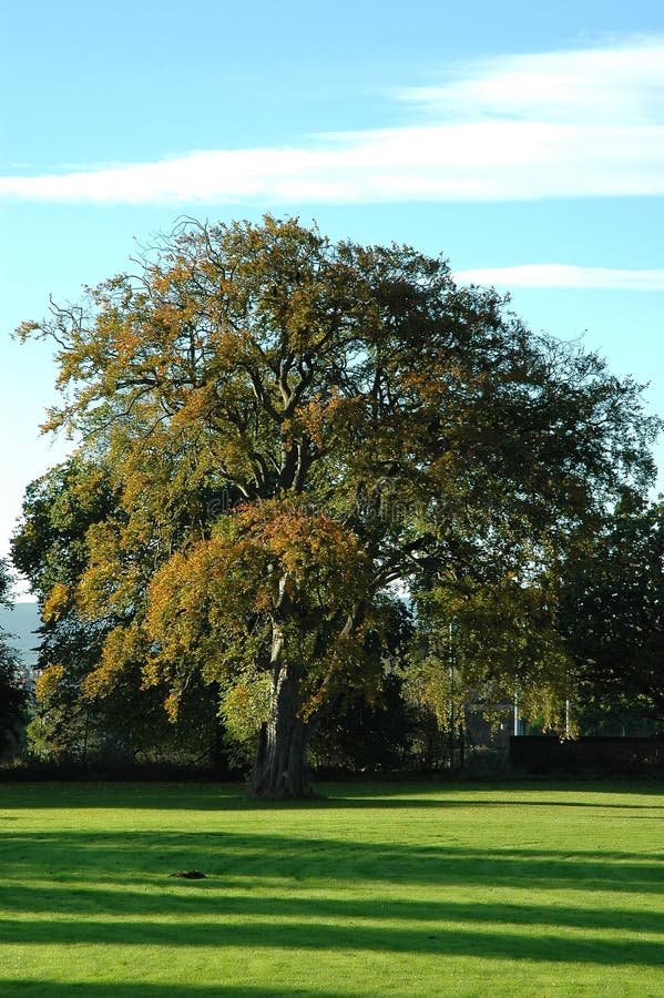 Boom Picture. Image: 294613