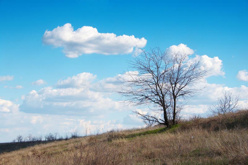 Boom Picture. Image: 644484