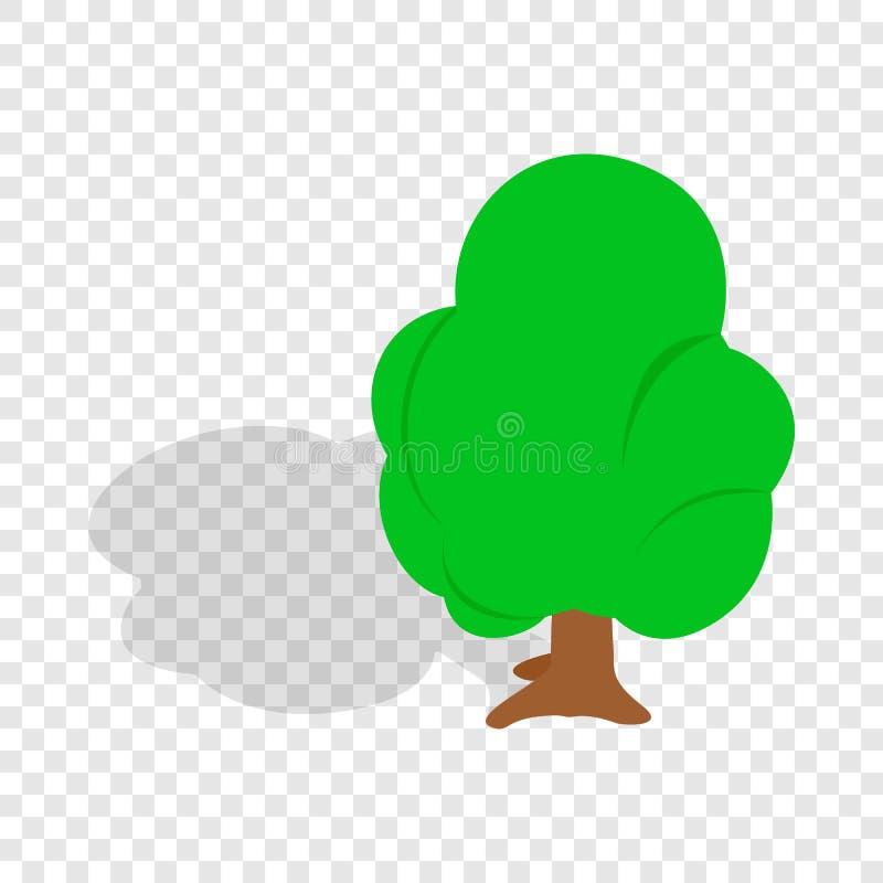 Boom isometrisch pictogram vector illustratie. Illustration of ...