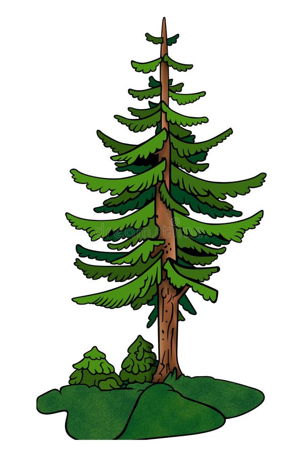 Naaldboom vector illustratie. Illustration of beeldverhalen - 31798645