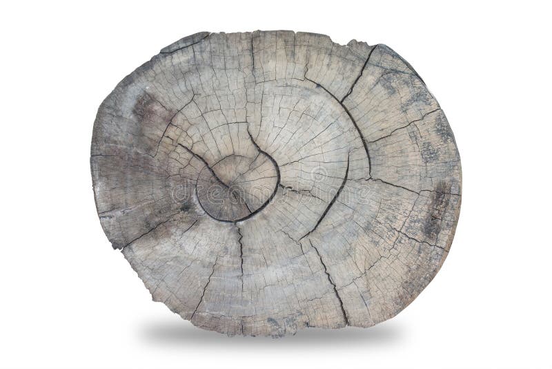 Boomring, Houten Jaarringen, Het Knippen Weg Stock Afbeelding - Image ...