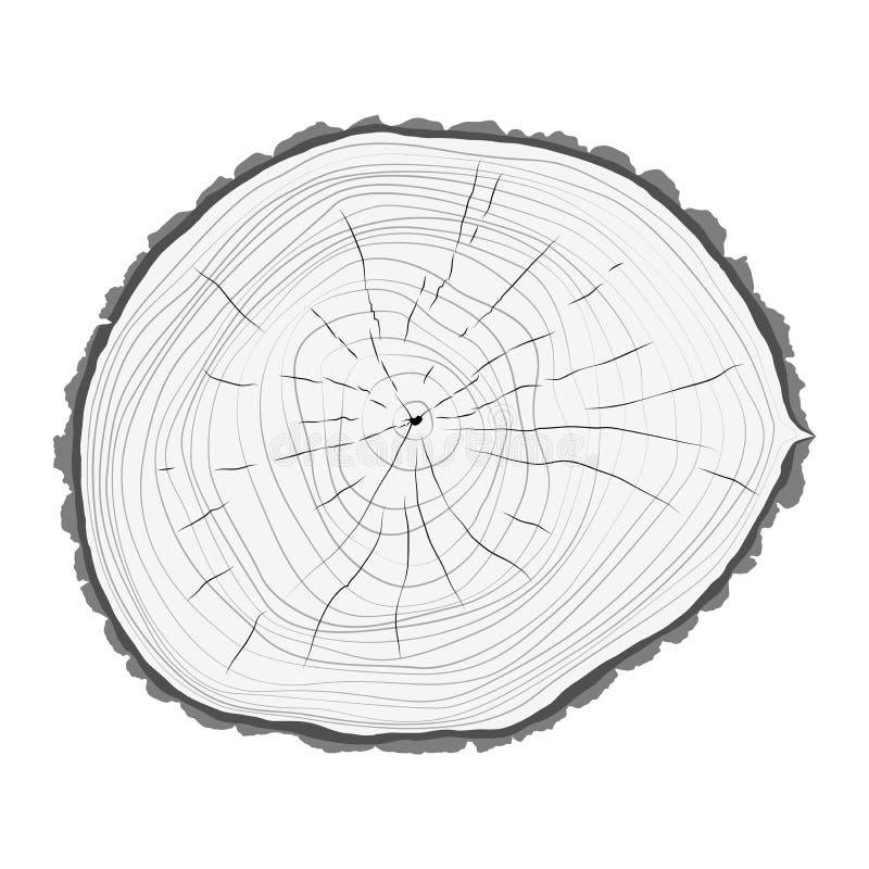 Dwarsdoorsnede Van De Boomstam Met Boomringen Embleem Houten ...