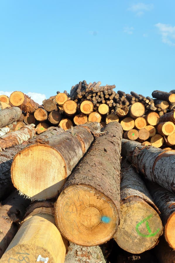 Boomstammen stock foto. Image of hout, koel, schors, molen - 15213944