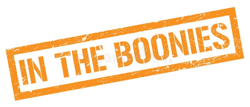 In the BOONIES Orange Grungy Rectangle Stamp Stock Illustration ...