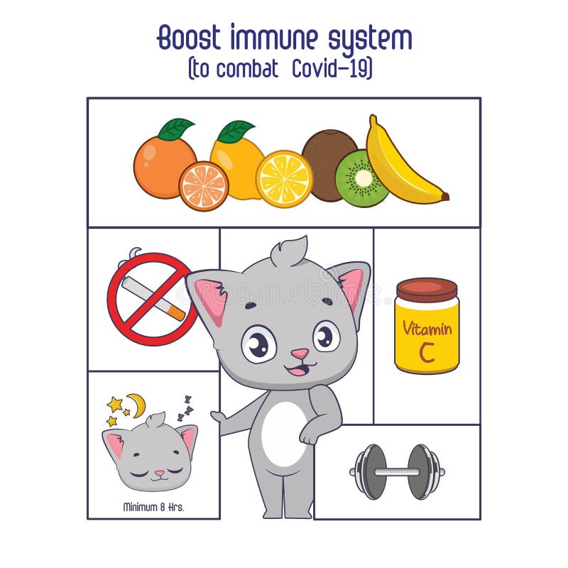 Boost Immune System To Combat Coronavirus Stock Vector - Illustration ...