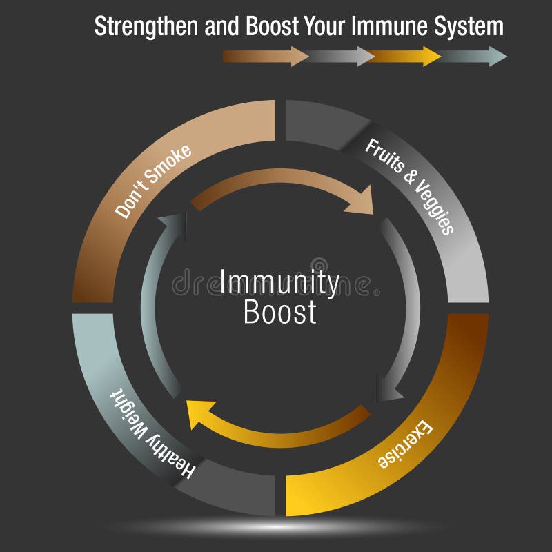 Boost and Stregthen Your Immune System Chart Stock Vector ...