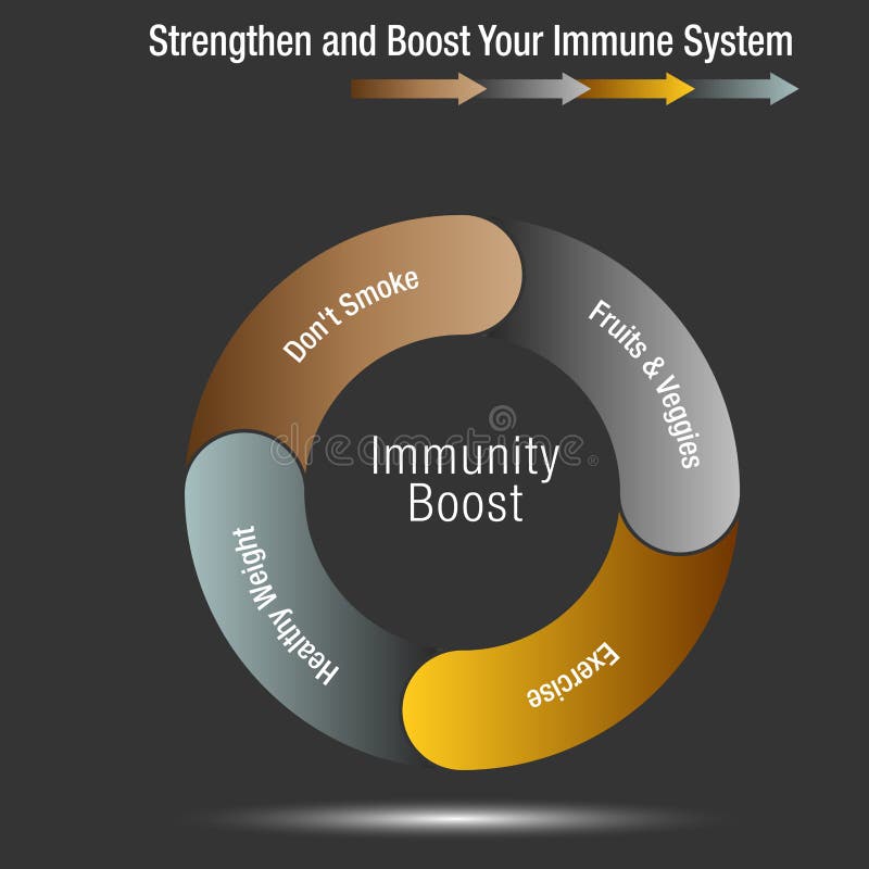 Boost and Stregthen Your Immune System Chart Stock Vector ...