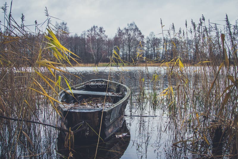 Boot Auf Dem Fluss, See Ein Boot Mit Rudern Stockfoto - Bild von ...