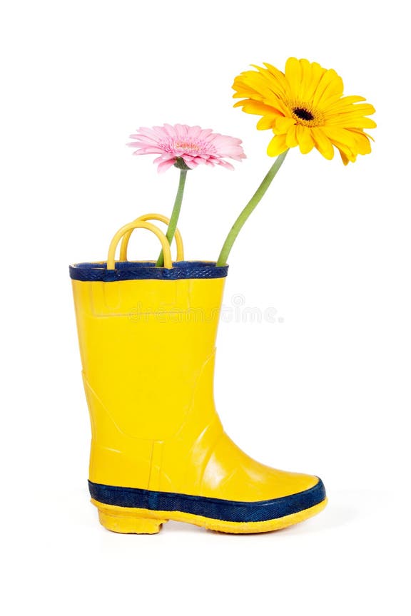 Boot with daisies stock photo. Image of wellies, gerbera - 25232740
