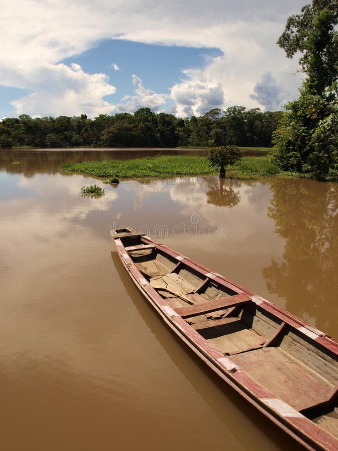 Boot Auf Dem Amazonas in Boca De Valeria, Brasilien Der Amazonas ...