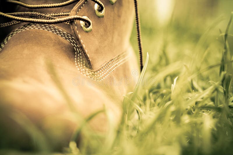 Boot on grass stock photo. Image of juicy, lawn, tourism - 82906336