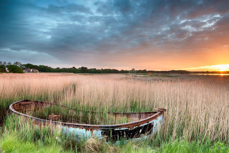 Boot in het riet stock afbeelding. Image of zonsondergang - 128753233
