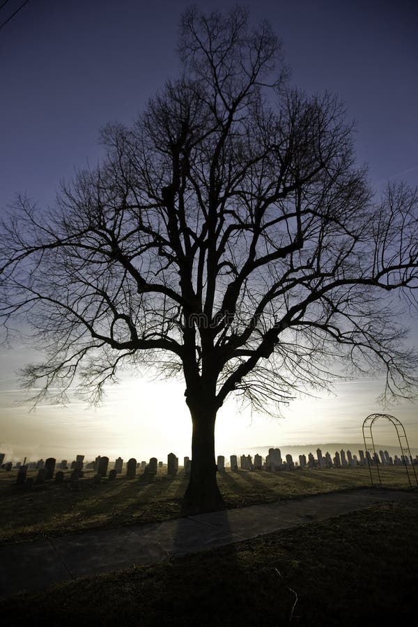 Boot Hill stock photo. Image of memory, tombstone, place - 8328552