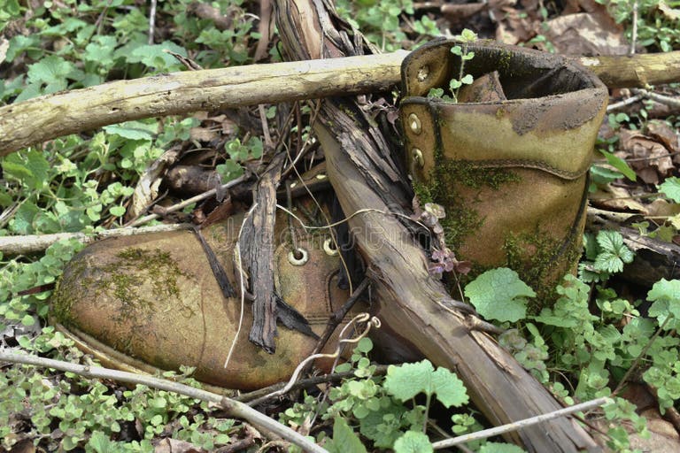 Boot Left Behind stock image. Image of moss, growth, left - 92361673