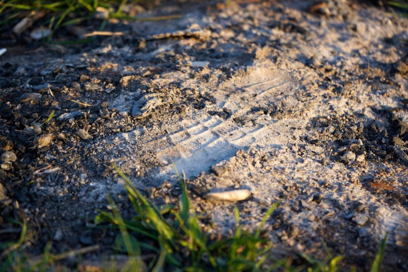 Boot print in the snow stock photo. Image of suela, boot - 184241088