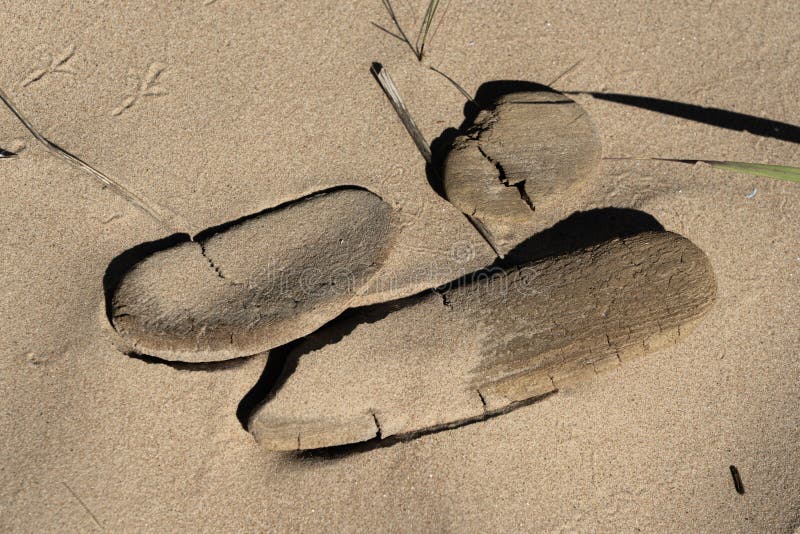 Boot Prints on Wet Sand on the Beach. Stock Photo - Image of human ...