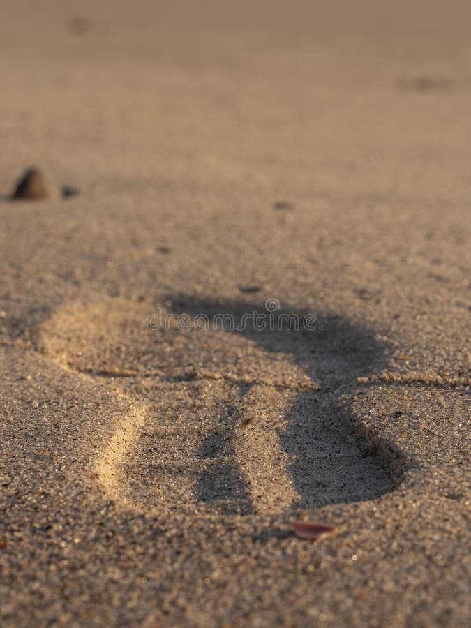 Close Up Of The Booted Foot Of A Cowboy On His Horse. A Picture Of An ...