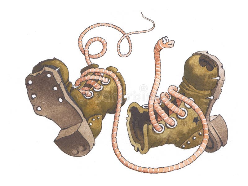 Bootlace Worm (Lineus Longissimus) Stock Illustration - Image: 22330880