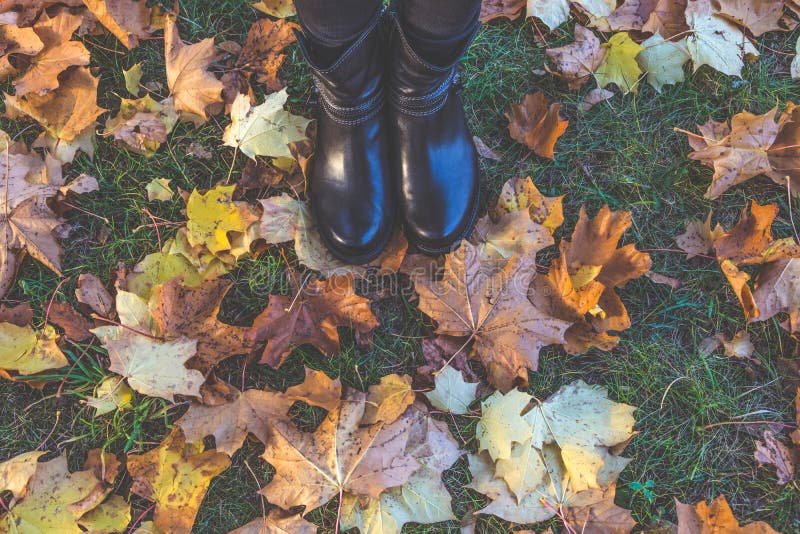 Boots on leaves stock image. Image of grass, leaf, fall - 63122909