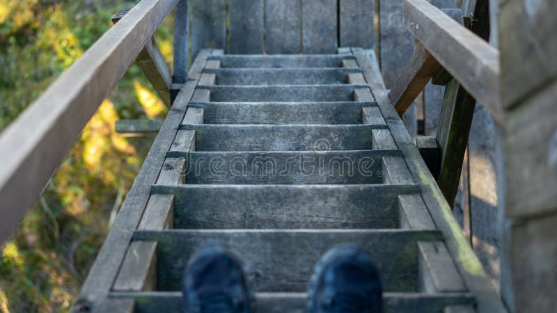 Stepping Up the Stairs in Gym Shoes and on the Green Grass Stock Image ...