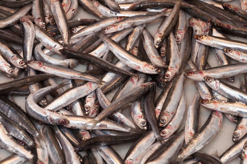 Boquerones, anchovy stock image. Image of products, fishes - 27677203