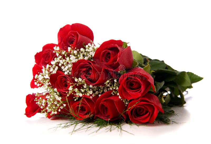 Bouquet Ou Roses Rouges Sur Le Blanc Image stock - Image du beau ...