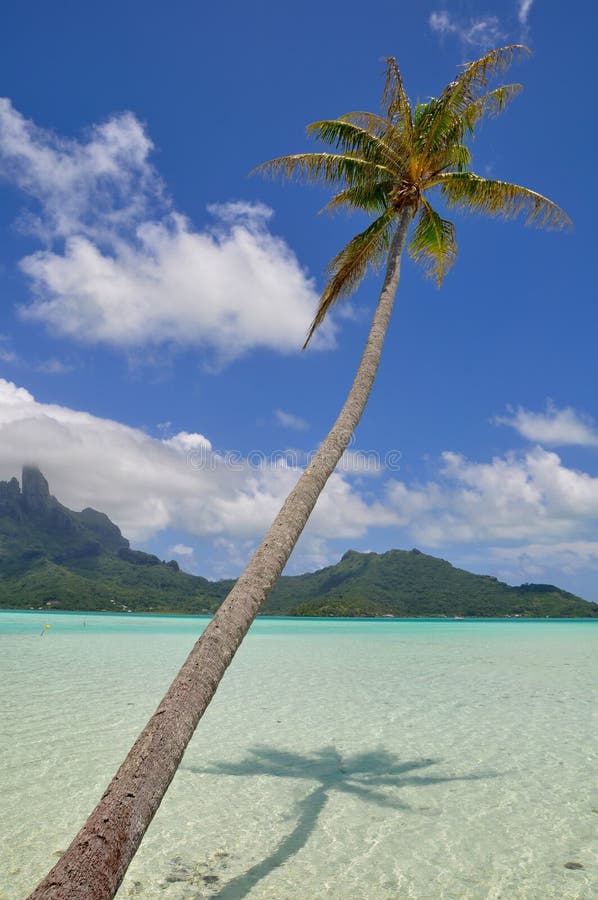 Bora Bora, French Polynesia Stock Photo - Image of holiday, mount: 39073148