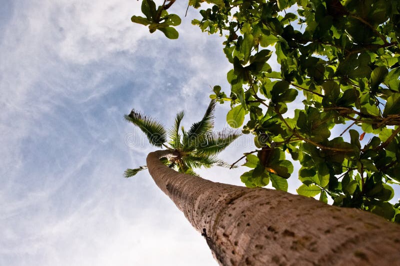 Boracay, Philippines stock image. Image of golden, beach - 84944517