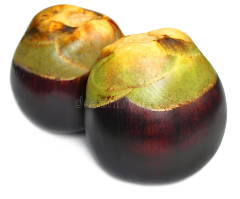 Borassus Flabellifer or Tal Fruit Stock Photo - Image of flabellifer ...