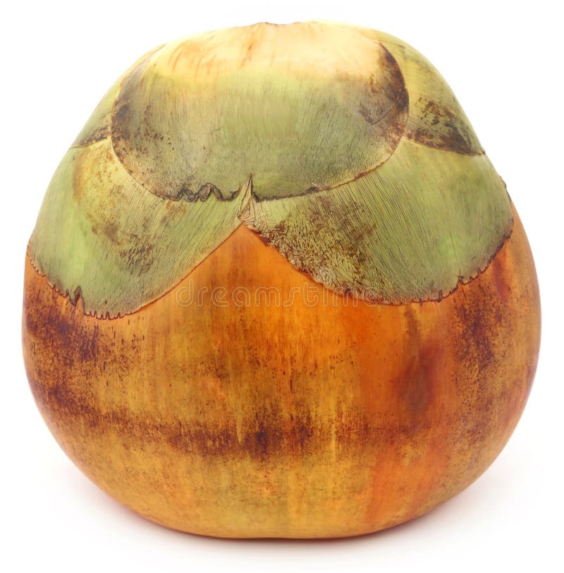 Tal Fruit of Indian Subcontinent Stock Photo - Image of agricultural ...