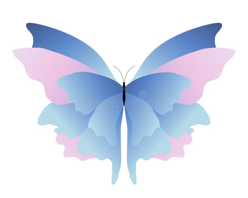 Borboleta azul cor-de-rosa ilustração stock. Ilustração de artwork ...